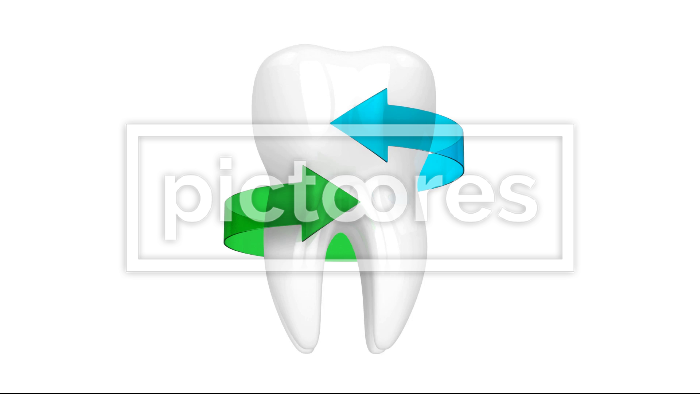 Seamless looping animation of tooth with rotating arrows